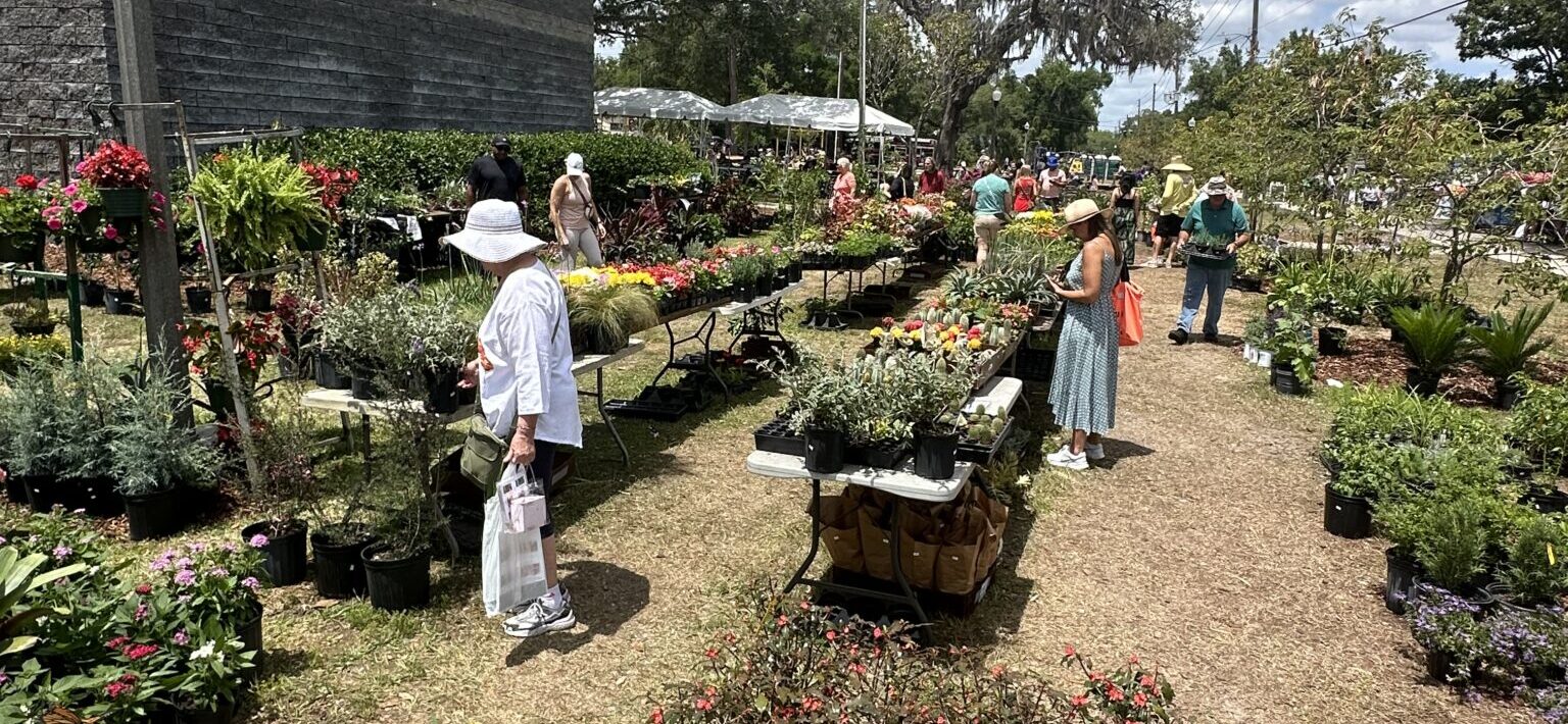 Apopka Art and Foliage Festival features juried arts and craft