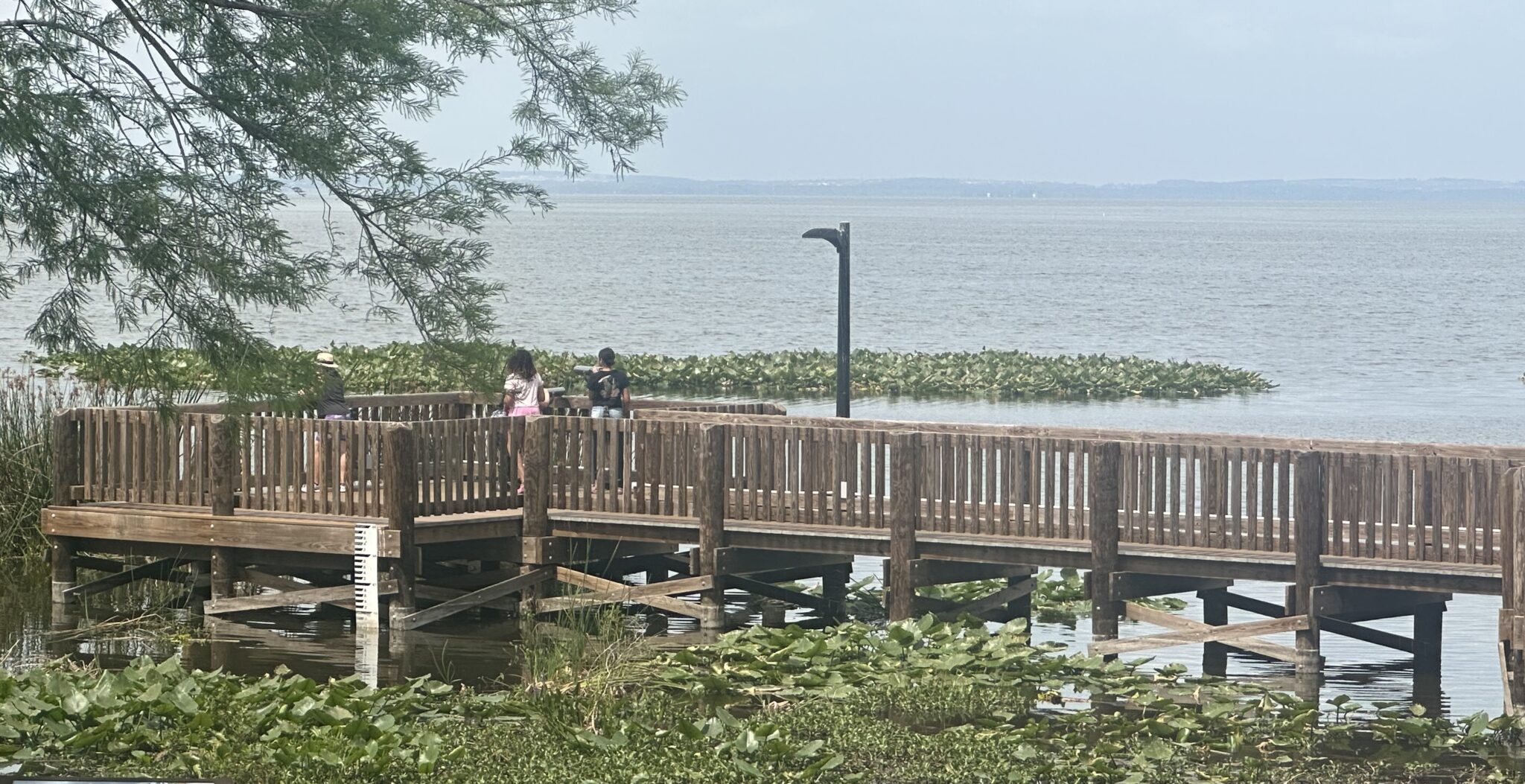 Lake Apopka tour celebrates Earth Day
