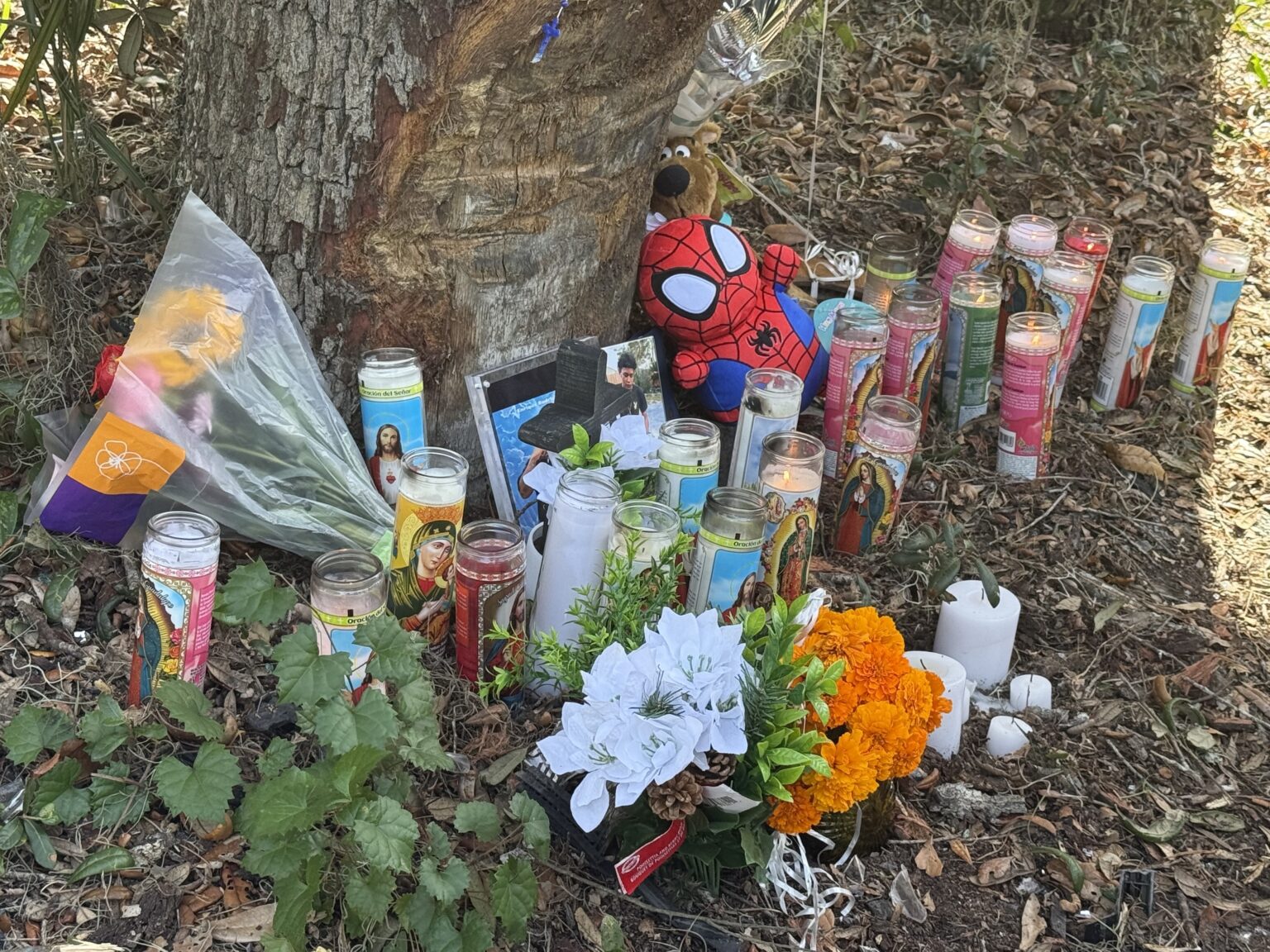3 Apopka teens killed Sunday in single-vehicle crash